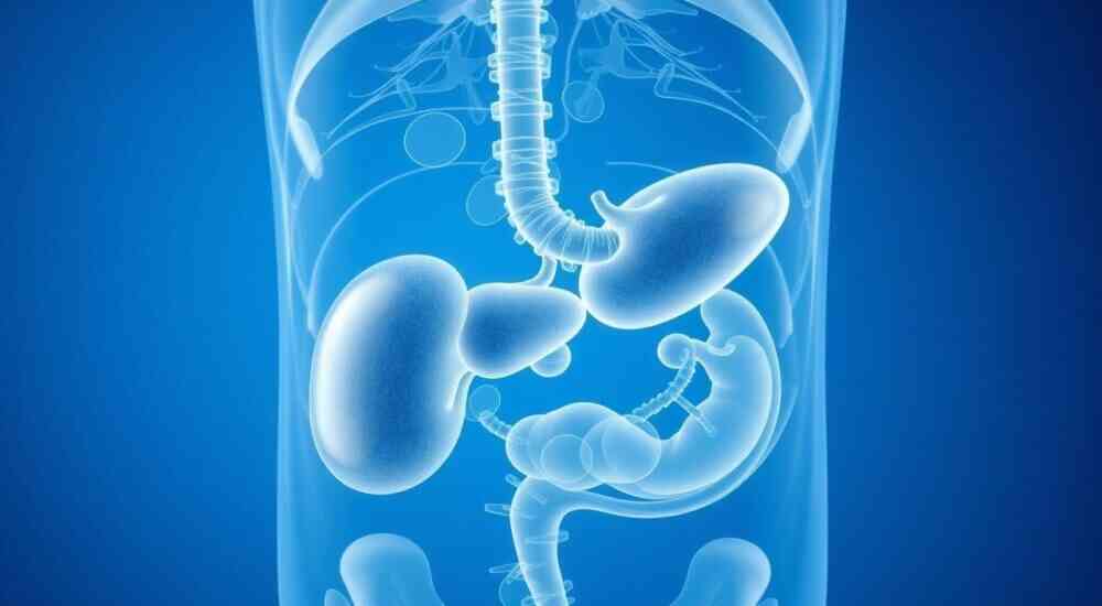 Colestasis intrahepática familiar progresiva tipo 2 - Tratamiento ...